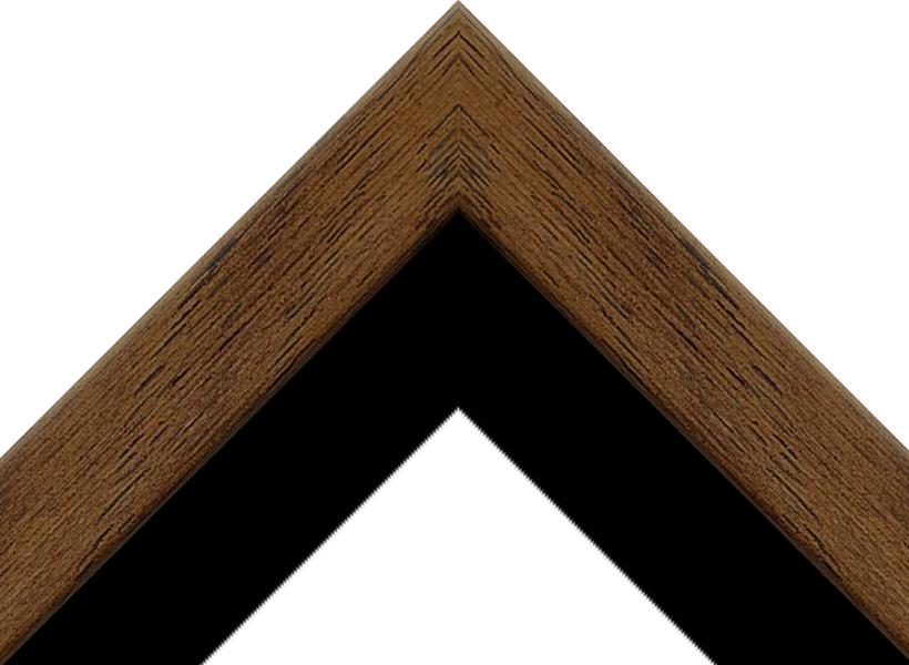 Select Art. Great American Bison by Robert Dawson