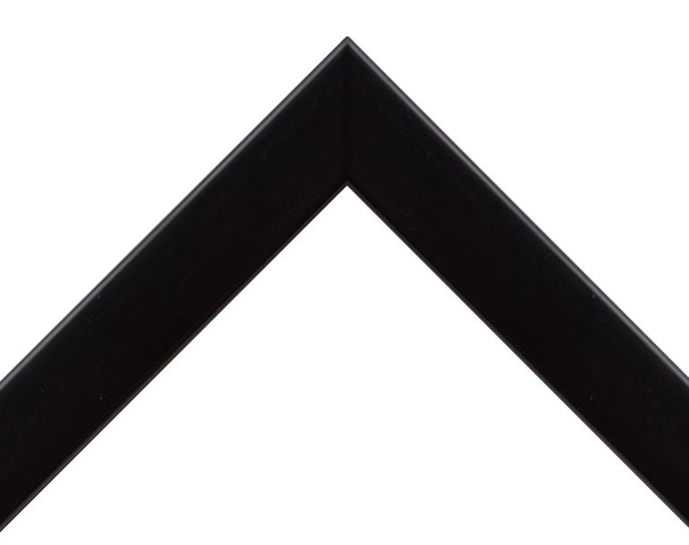 Select Art. Chief Wolf Robe - Cheyenne by Boston Public Library